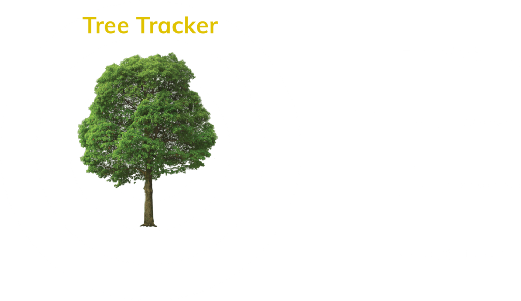 Tracking commercial and valuable trees