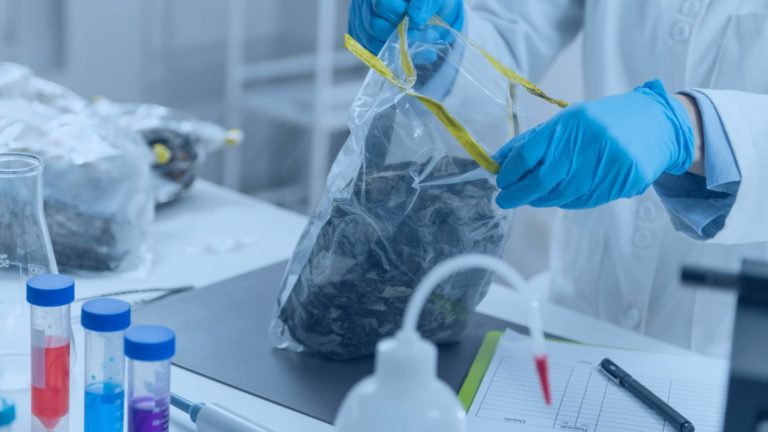 Biomedical Waste Management Solutions - Help to Reduce Waste